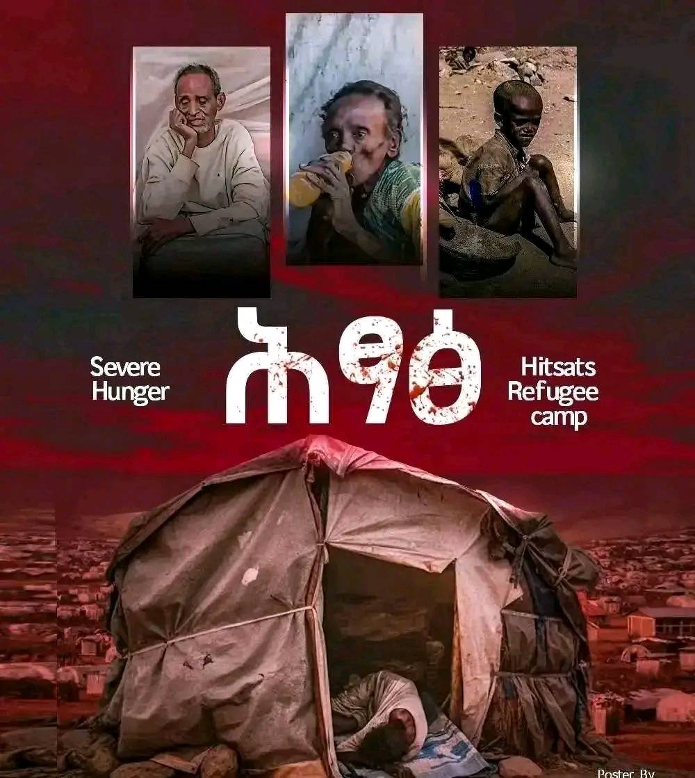 Donation Donate to Acsot by Alliance of Civil Organizations of Tigray-ACSOT